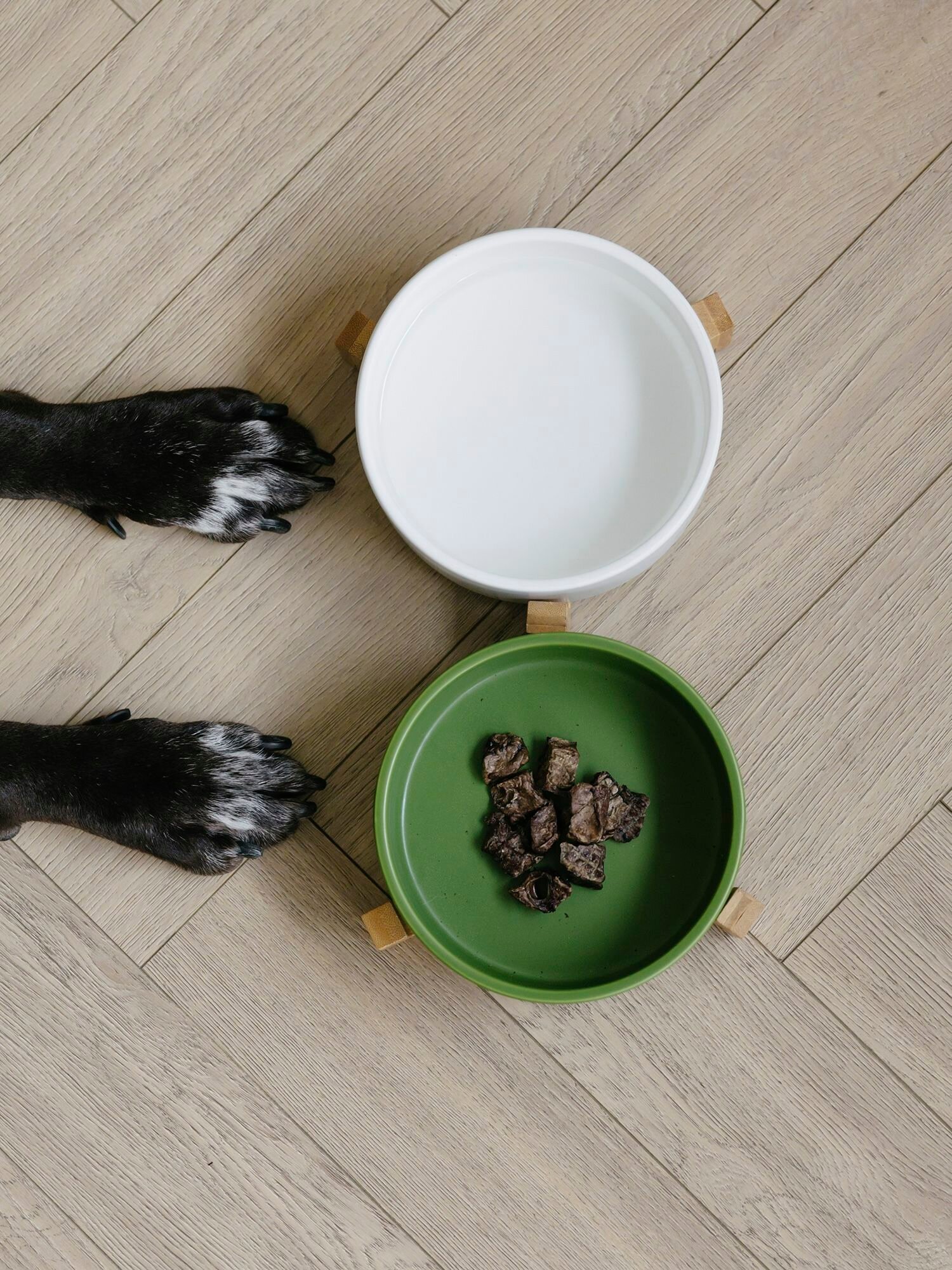 Двойная миска для кошек, для собак, для животных, "Не Один Дома" Planet, разноцветный, 34,5х17х17,5 см