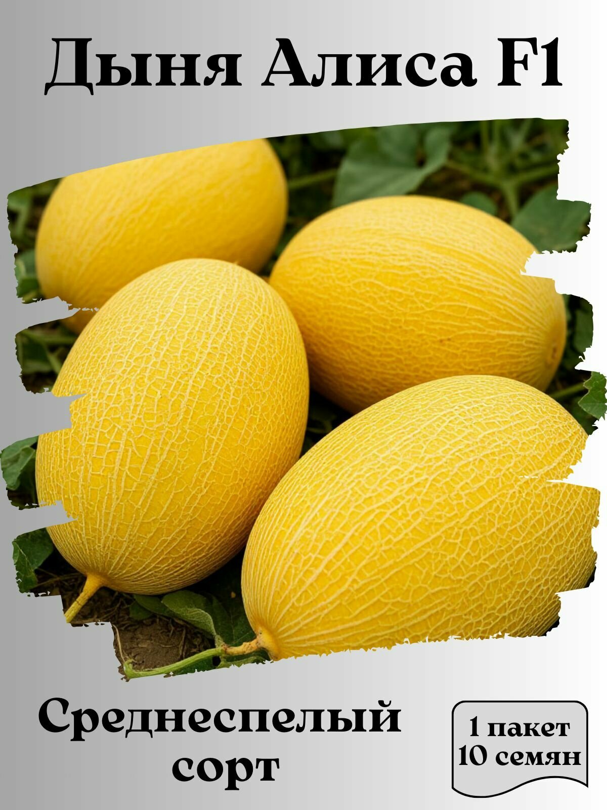 Дыня Алиса F1, семена, 10 шт, 15 гр.