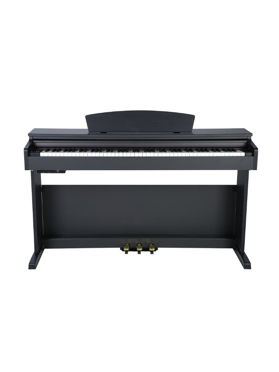 Artesia A100 SR Цифровое пианино , 88 клавиш, молоточковая клавиатура