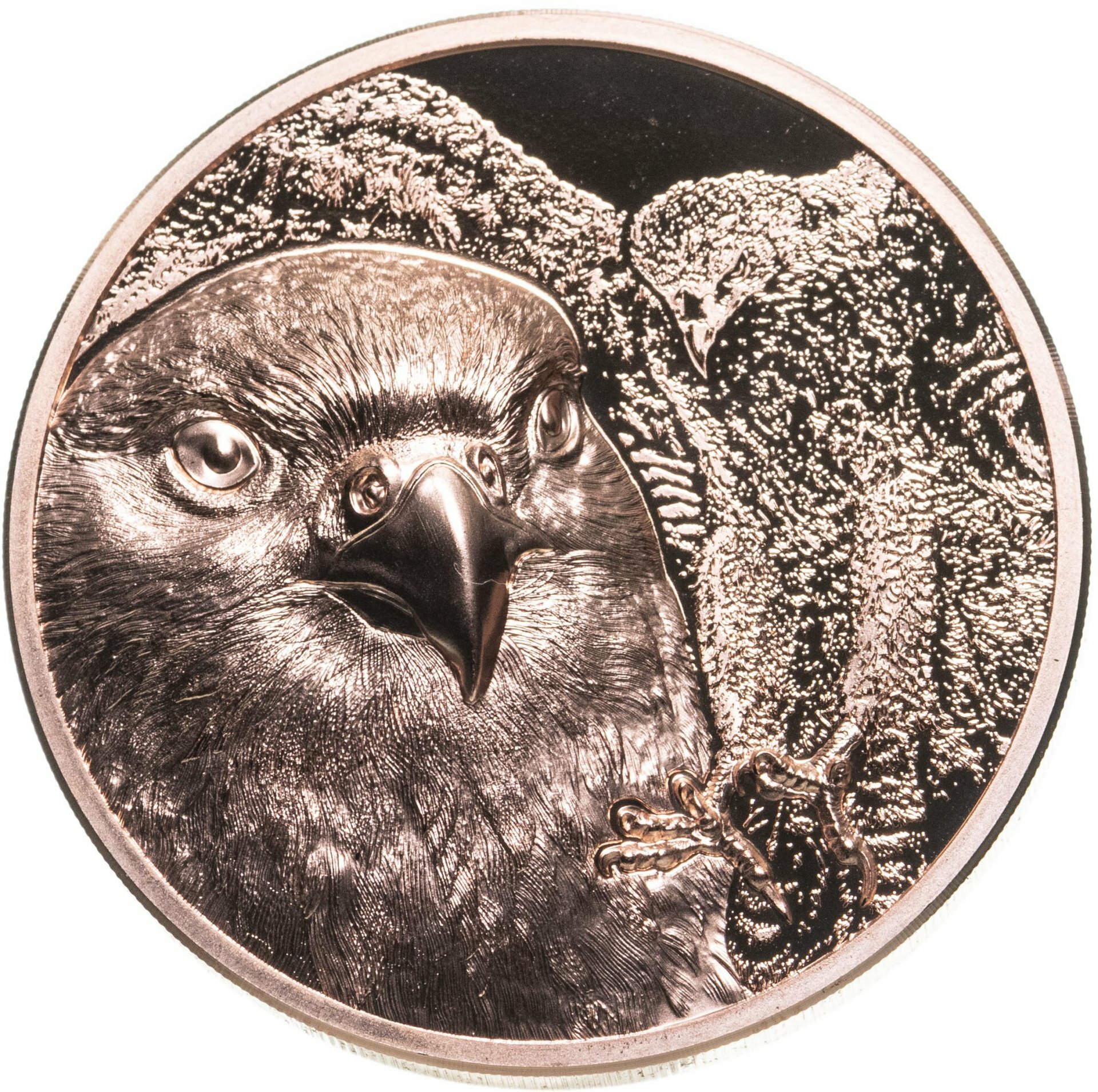 Монголия 250 тугриков 2023 Proof "Сокол" в капсуле с сертификатом, Медь, в сохранности PL