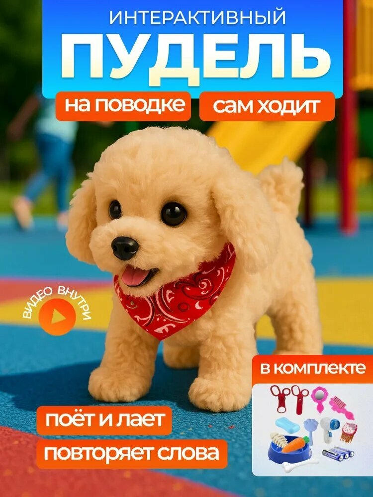 Интерактивная собачка DAZLE на поводке говорящая с пультом музыкальный пудель для девочки