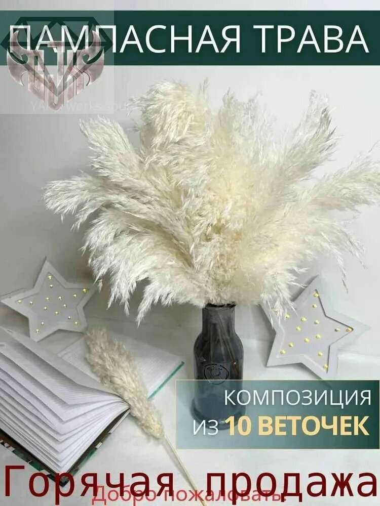 Сухоцветы Пампасная трава, 43 см, 70 гр, 10 шт