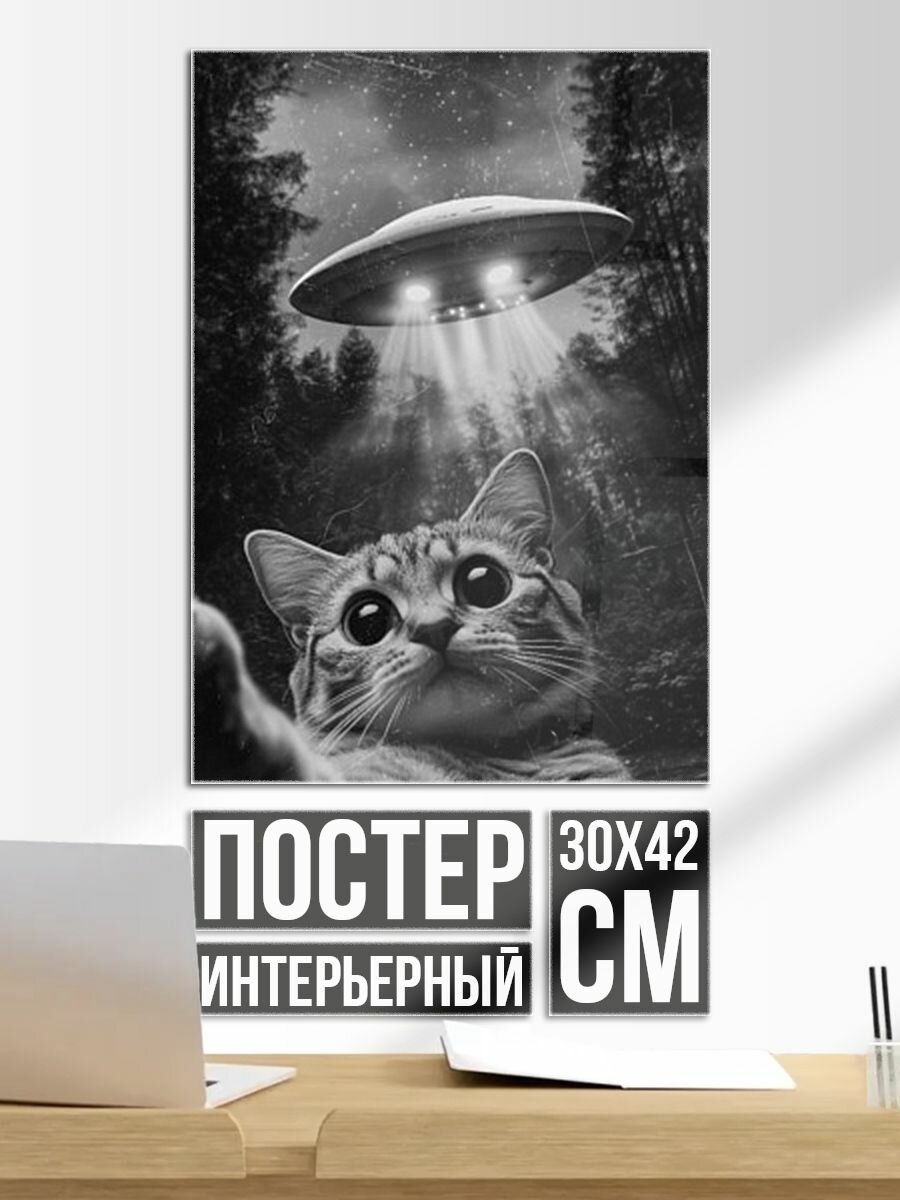 Постер на стену Котик и НЛО