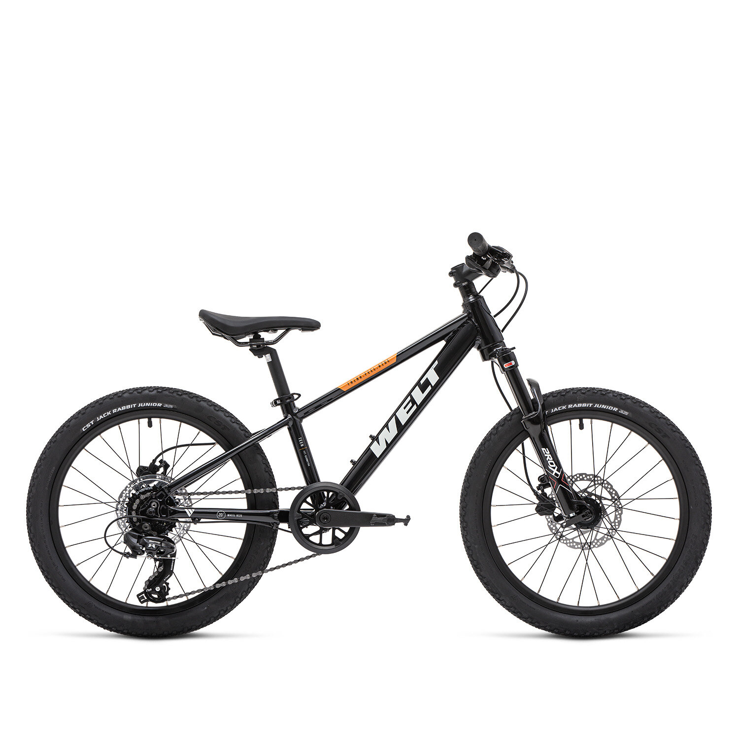 Велосипед Welt Brave 1.0 20 HD Fast Black (дюйм:20)