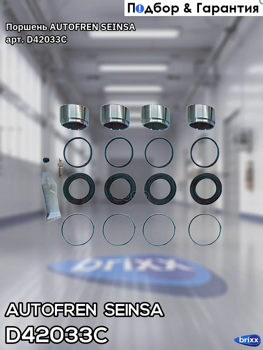 Поршень AUTOFREN SEINSA арт. D42033C