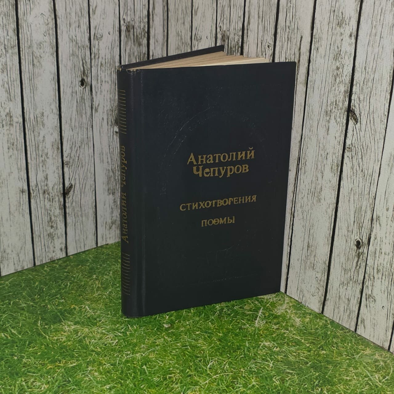 Анатолий Чепуров. Стихотворения. Поэмы