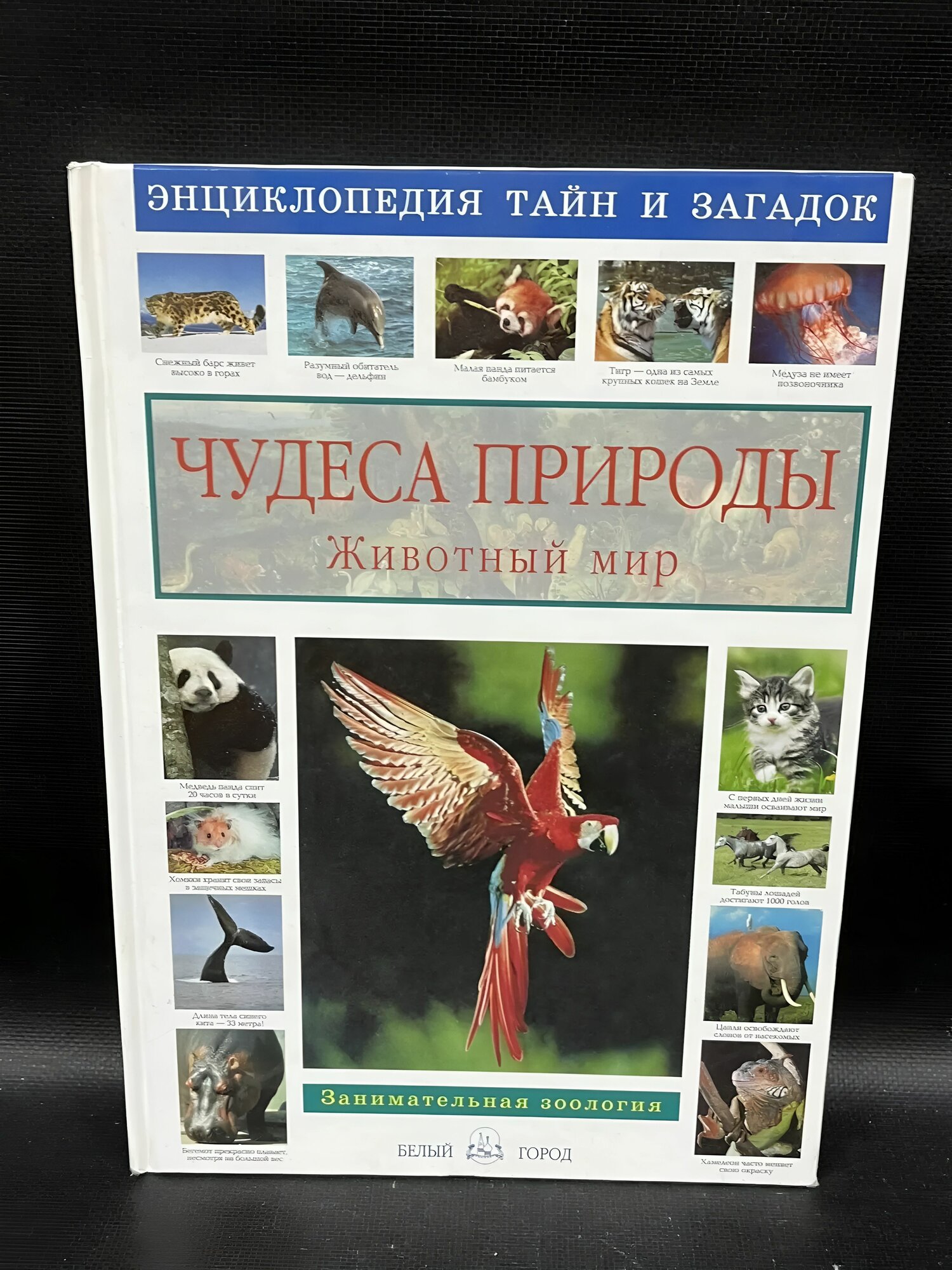 Чудеса природы. Животный мир
