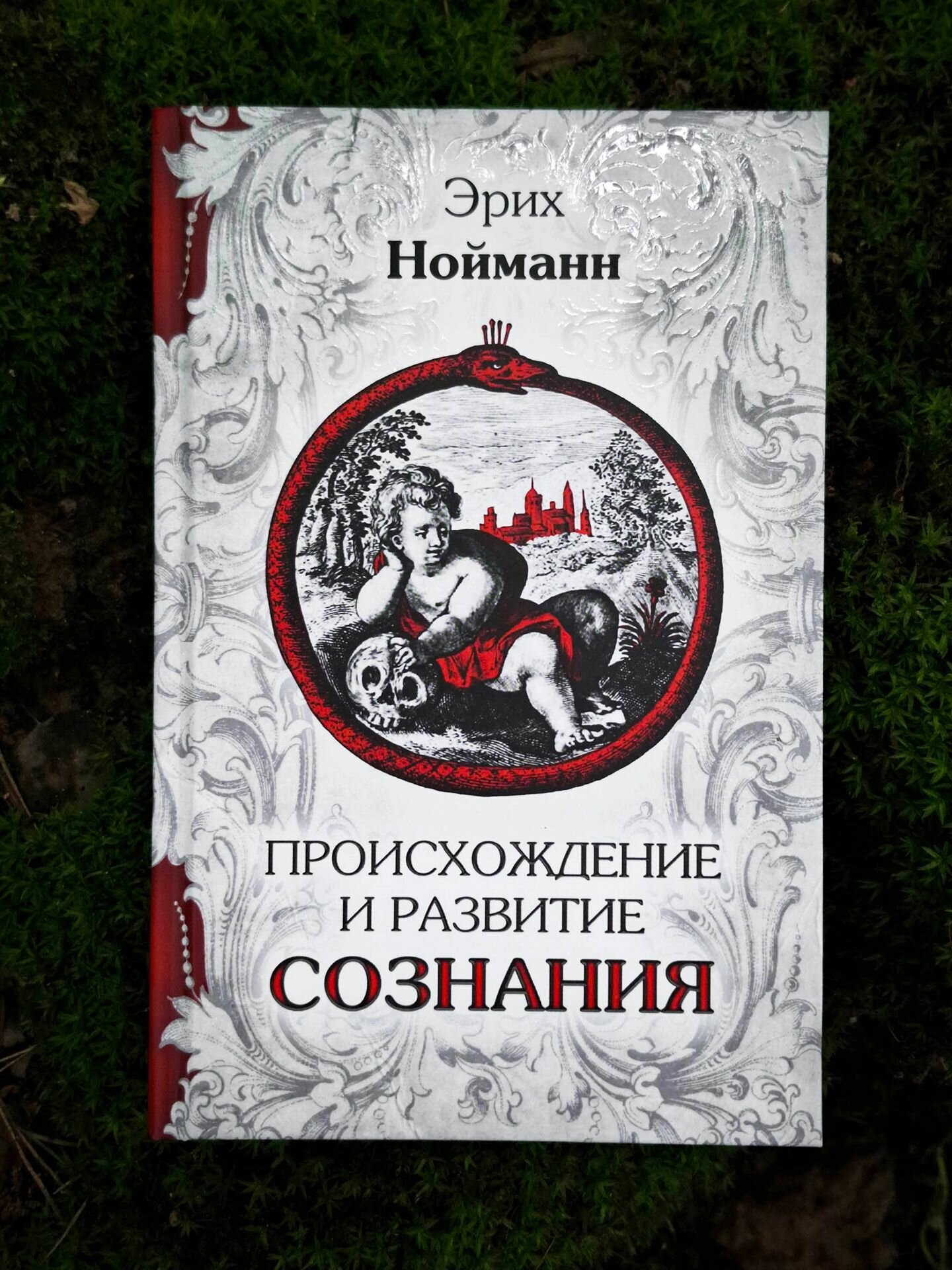 Происхождение и развитие Сознания