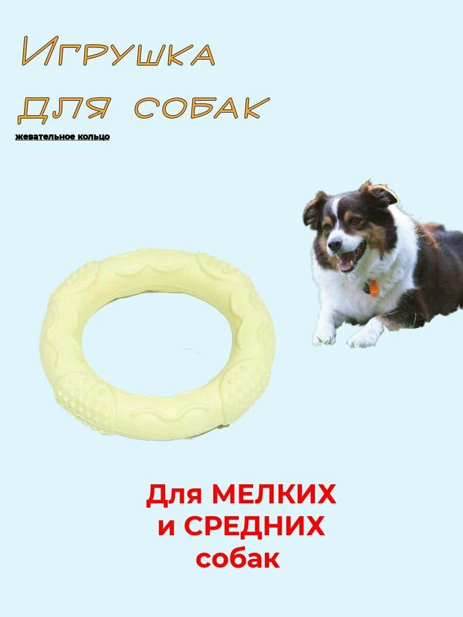 Игрушка для собак " Кольцо " , 7 см , термопластичная резина