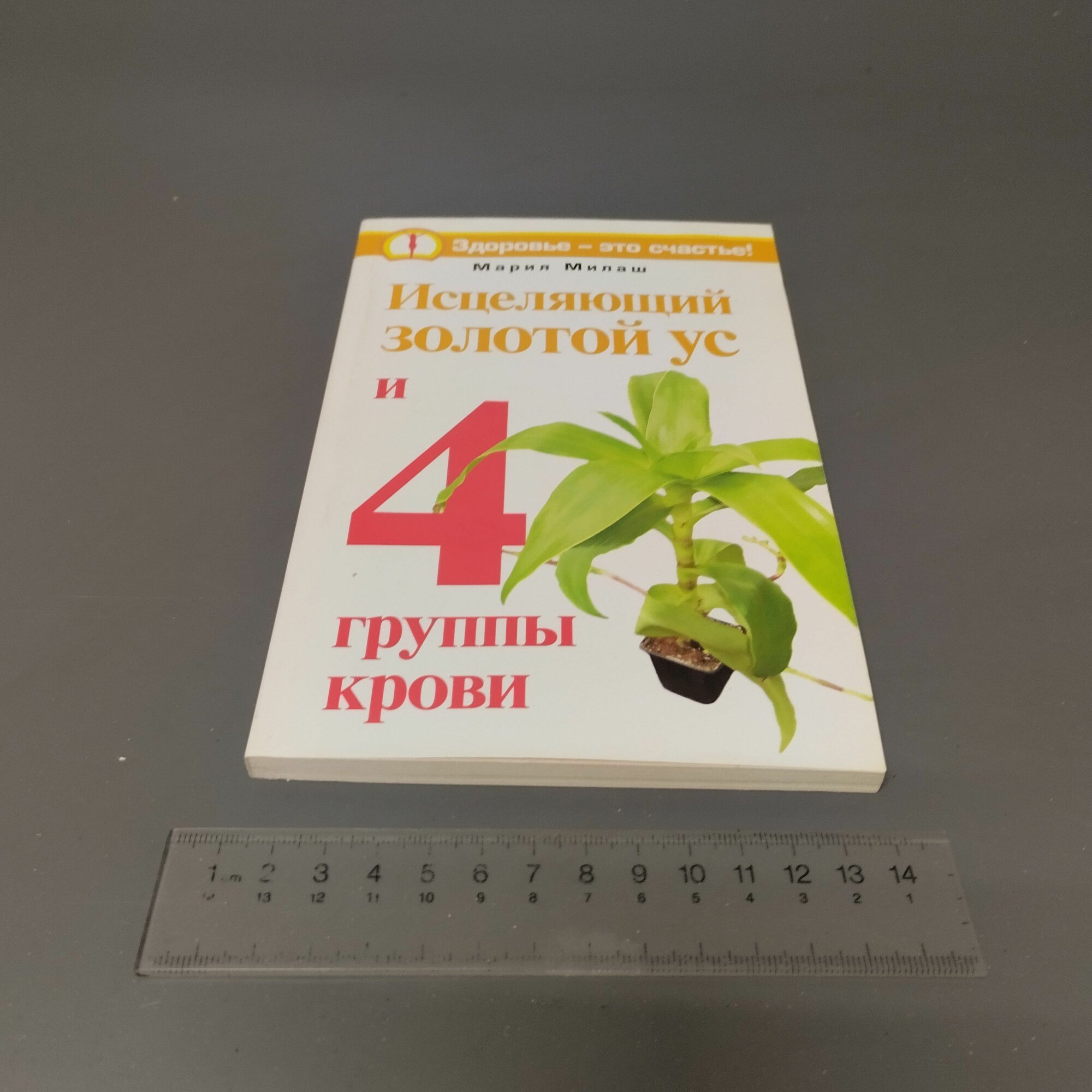 Исцеляющий Золотой ус и 4 группы крови. Милаш Мария Григорьевна