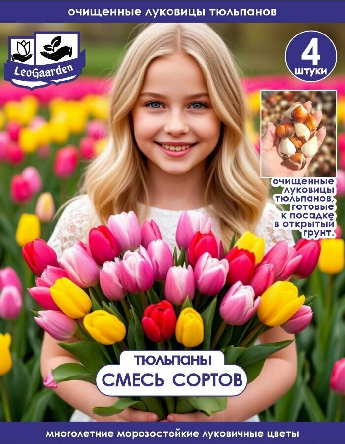 Тюльпан Луковицы крупные , Микс сортов, 4 шт