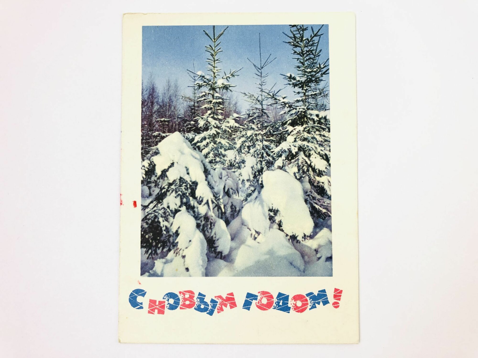 С Новым годом! Зимний лес. Открытка. Подписанная. 1966. Цветное фото Г. И. Костенко