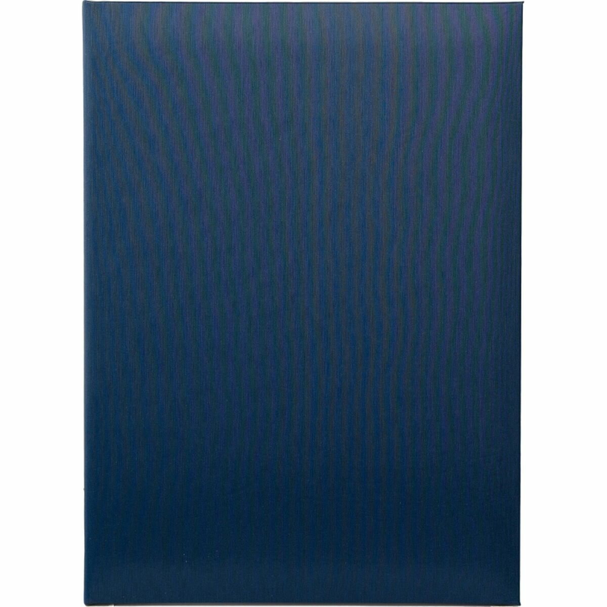 Папка адресная без надписей (225x310мм, танго) синяя, 1шт.