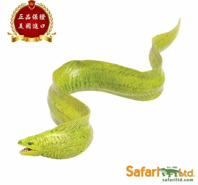 Safari Ltd импортирует моделируемые морские животные, импортированные из США