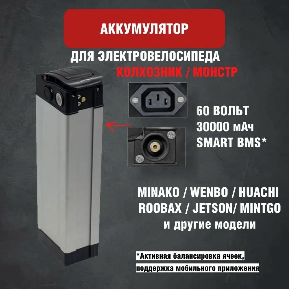 Зимний аккумулятор для электровелосипеда колхозник Монстр, Minako, Jetson и других 60v 30ah