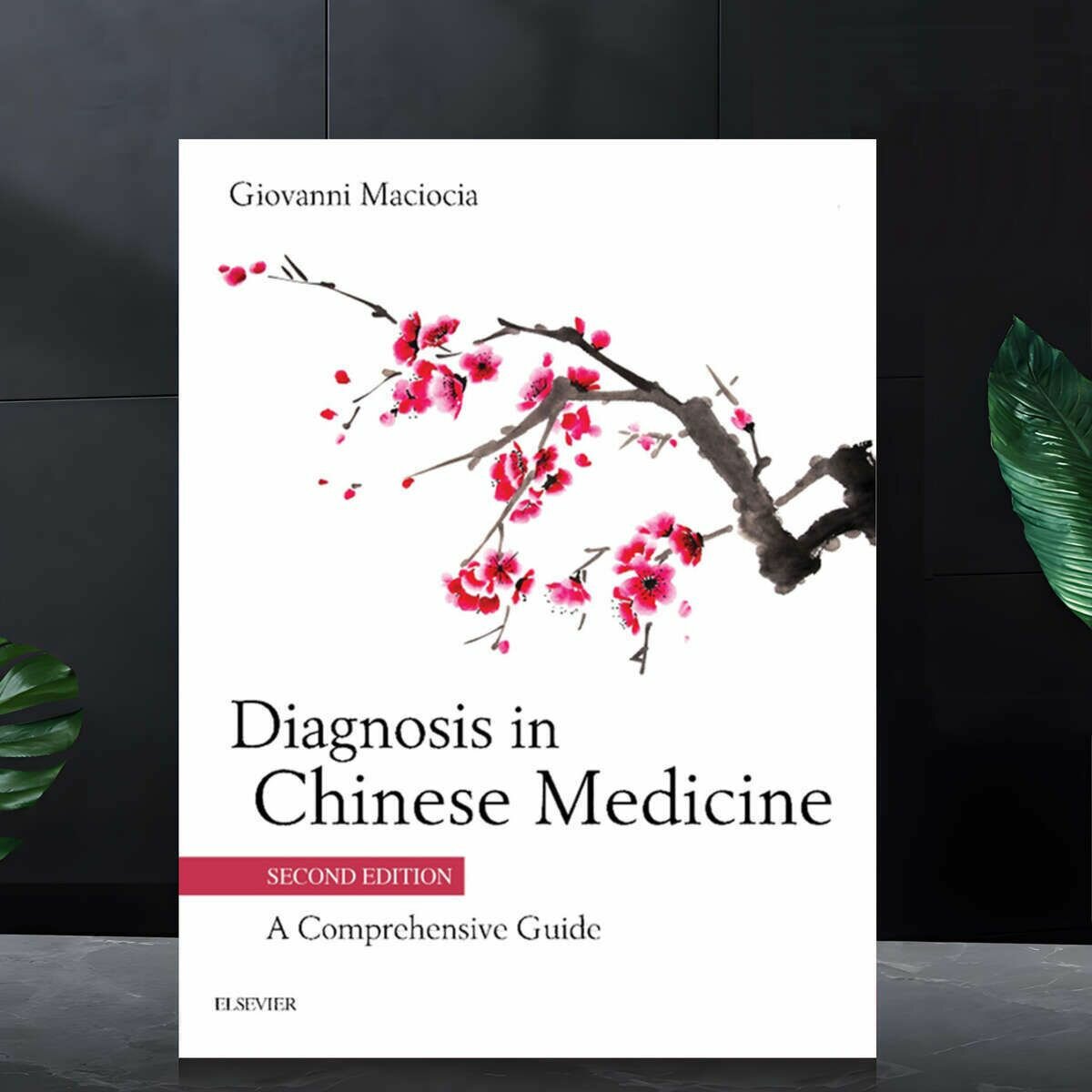 Diagnosis in Chinese Medicine: A Comprehensive Guide / Бумажная книга
