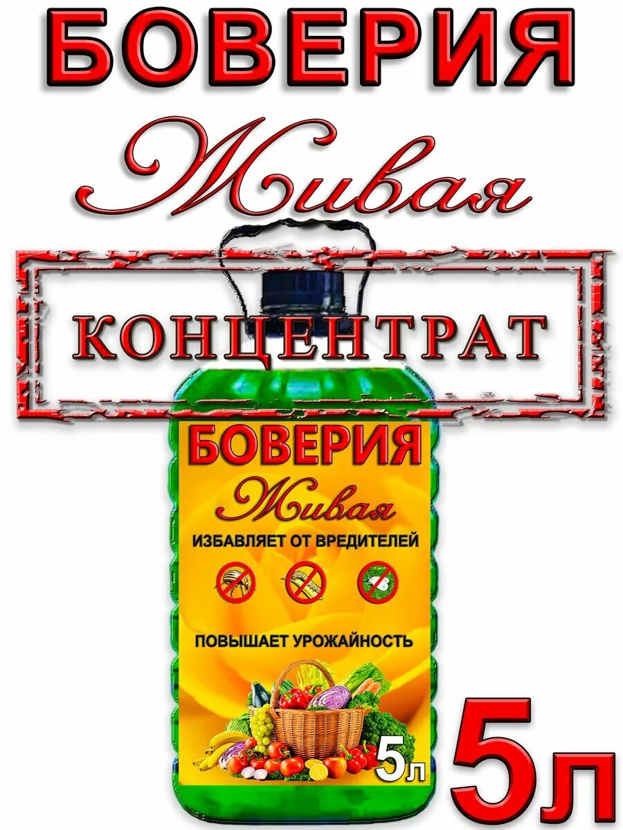 Боверия. Живая на Хлорелле (концентрат) 5 литров