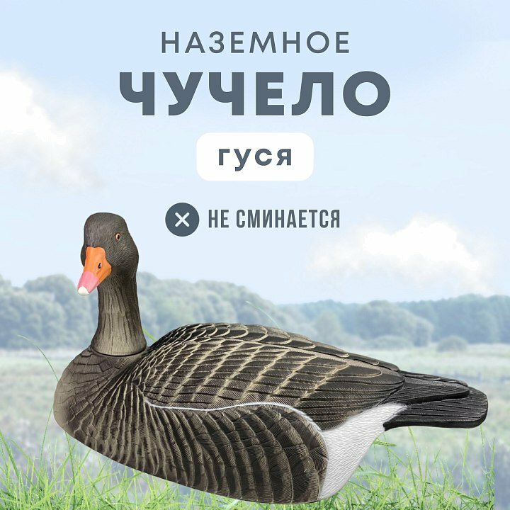 Taigan Goose Shell сторожевой подсадной гусь со съемной головой и прочным корпусом