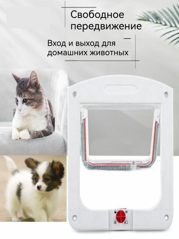 Пластиковые двери для кошек и собак, бесшумные двусторонние двери для контроля доступа домашних животных 220*200*30MM