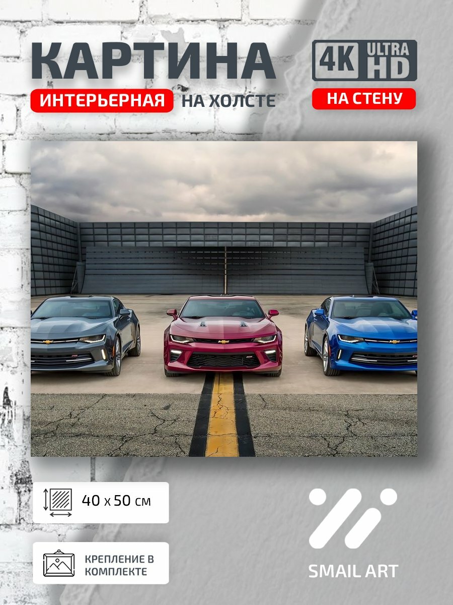 Картина на холсте интерьерная 40 на 50 на стену Асфальт camaro для кабинета авто дизайн