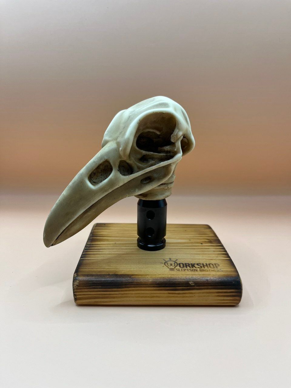 Ручка КПП "Череп ворона"