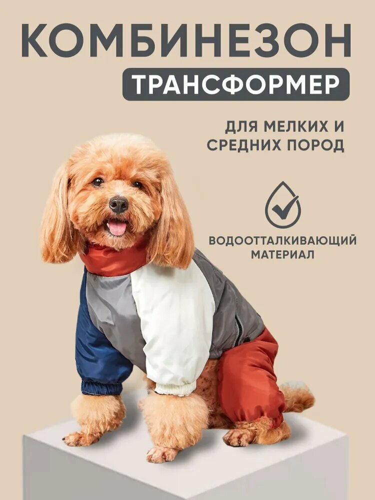 KNOW EASY-Одежда для животных