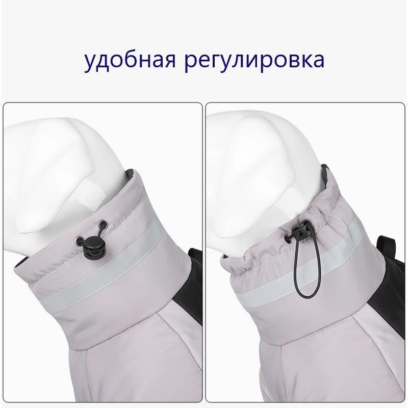 Одежда для животных — фото 1