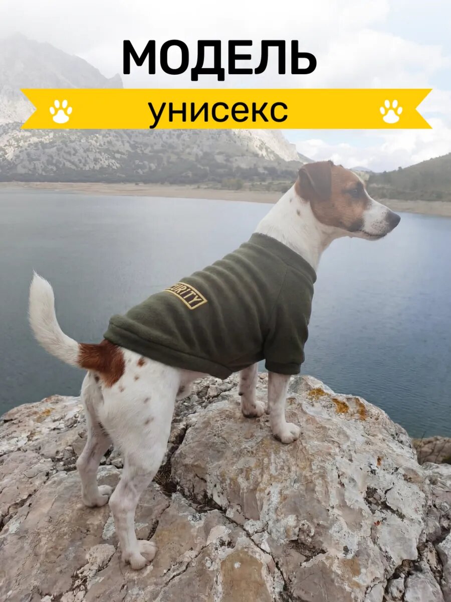 Толстовка Security для собак мелких и средних пород, флис, демисезон, зима — фото 1