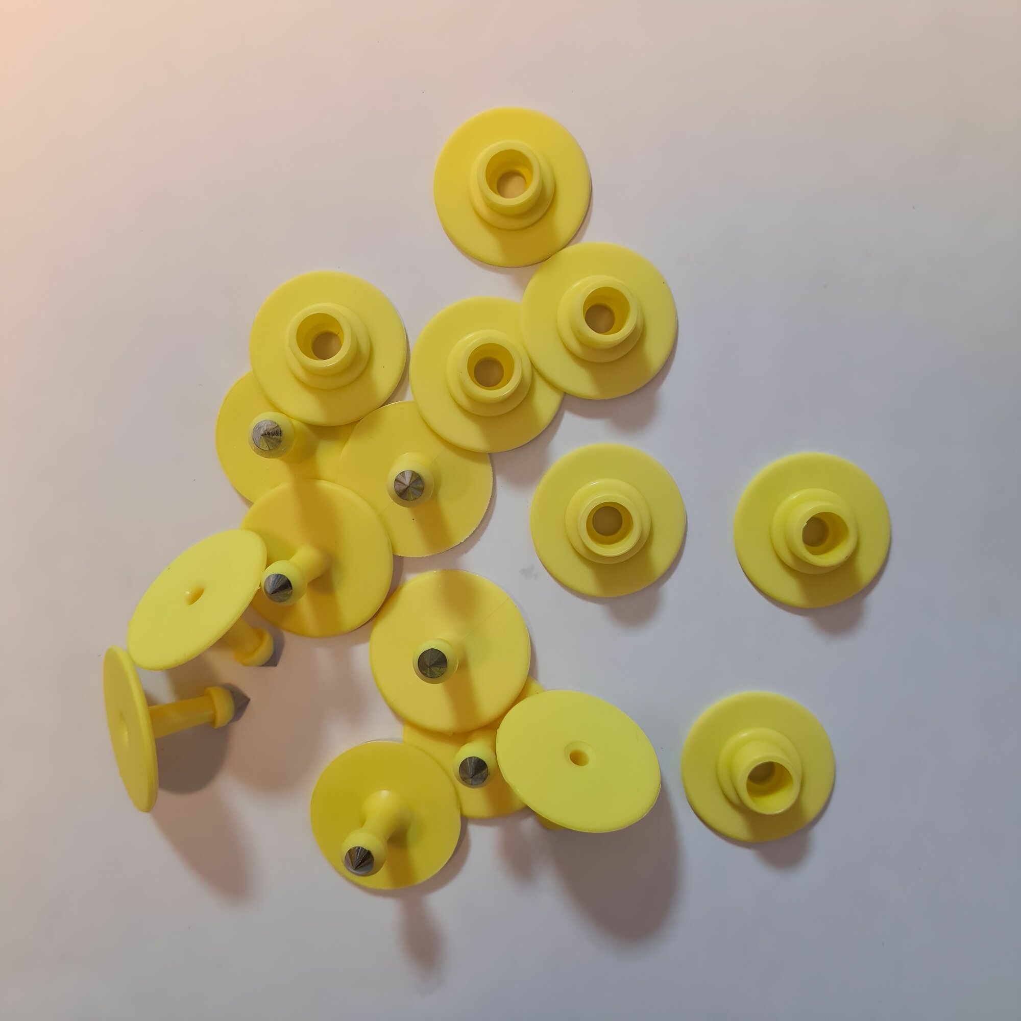 Бирка ушная Круглая двойная 28 мм для коз, овец, собак, желтая, 20 шт