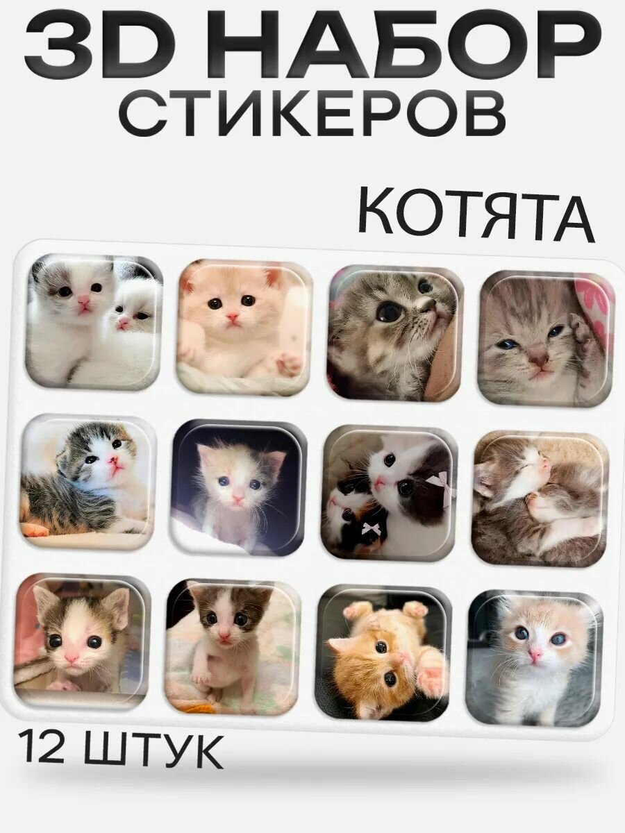 3D стикеры на телефон котята