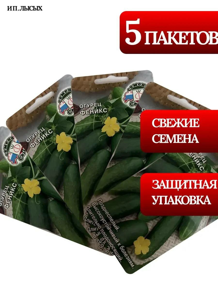 Семена Огурец "Феникс"