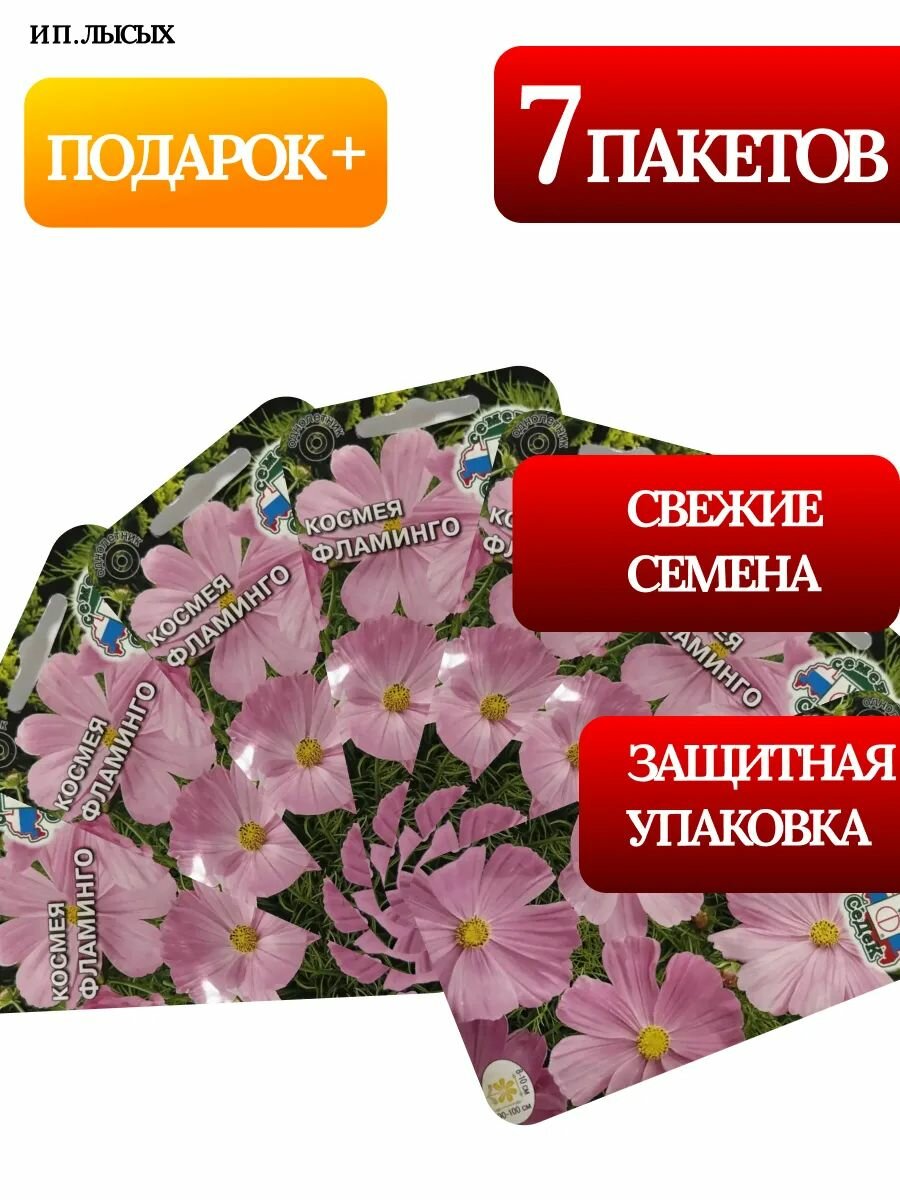Семена Космея "Фламинго"