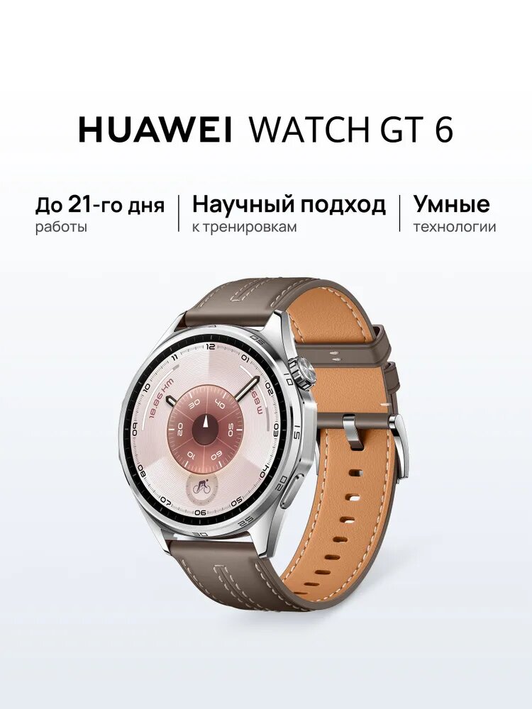 Смарт-часы WATCH GT 6, HUAWEI, диагональ экрана 46мм, серые/белые
