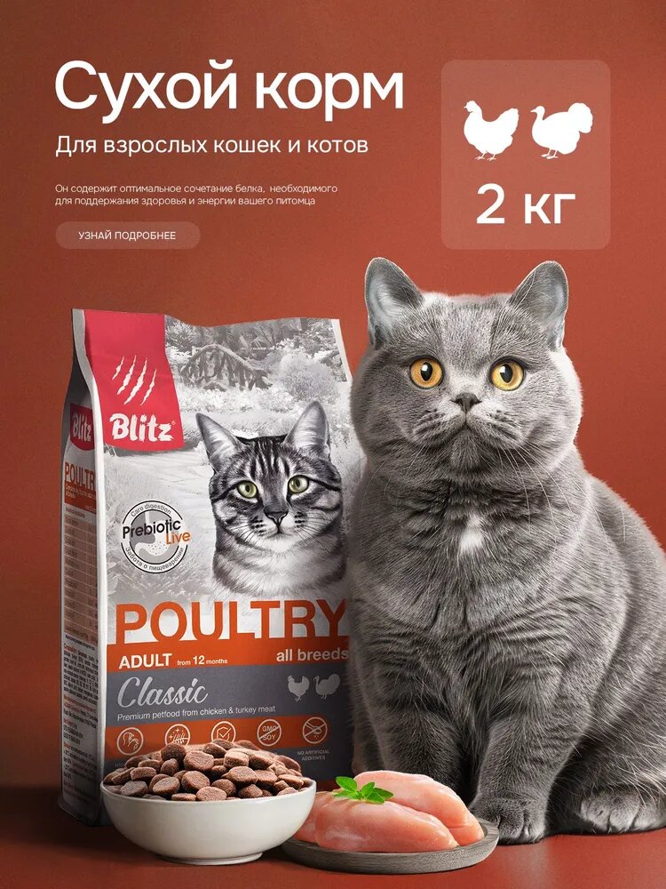 Сухой корм BLITZ ADULT CATS POULTRY /сухой корм для взрослых кошек с Домашней птицей/ 2кг
