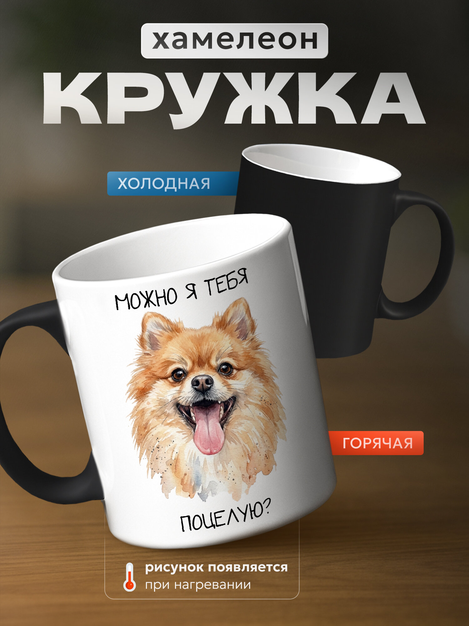 Кружка хамелеон Померанский шпиц