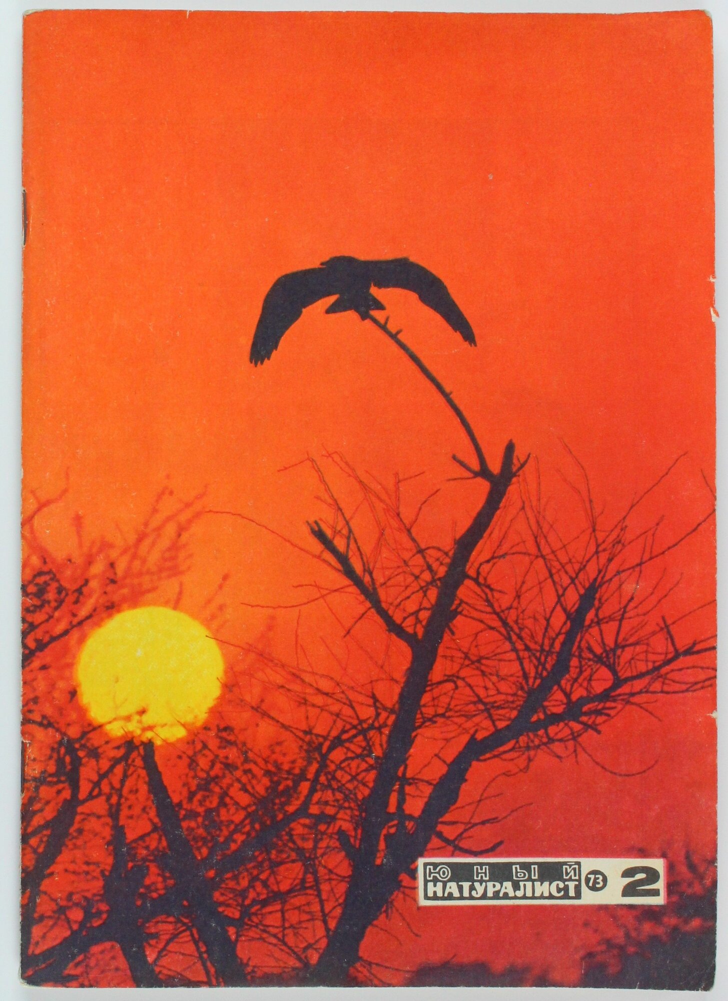 Винтажный журнал СССР Юный Натуралист, 1973 год