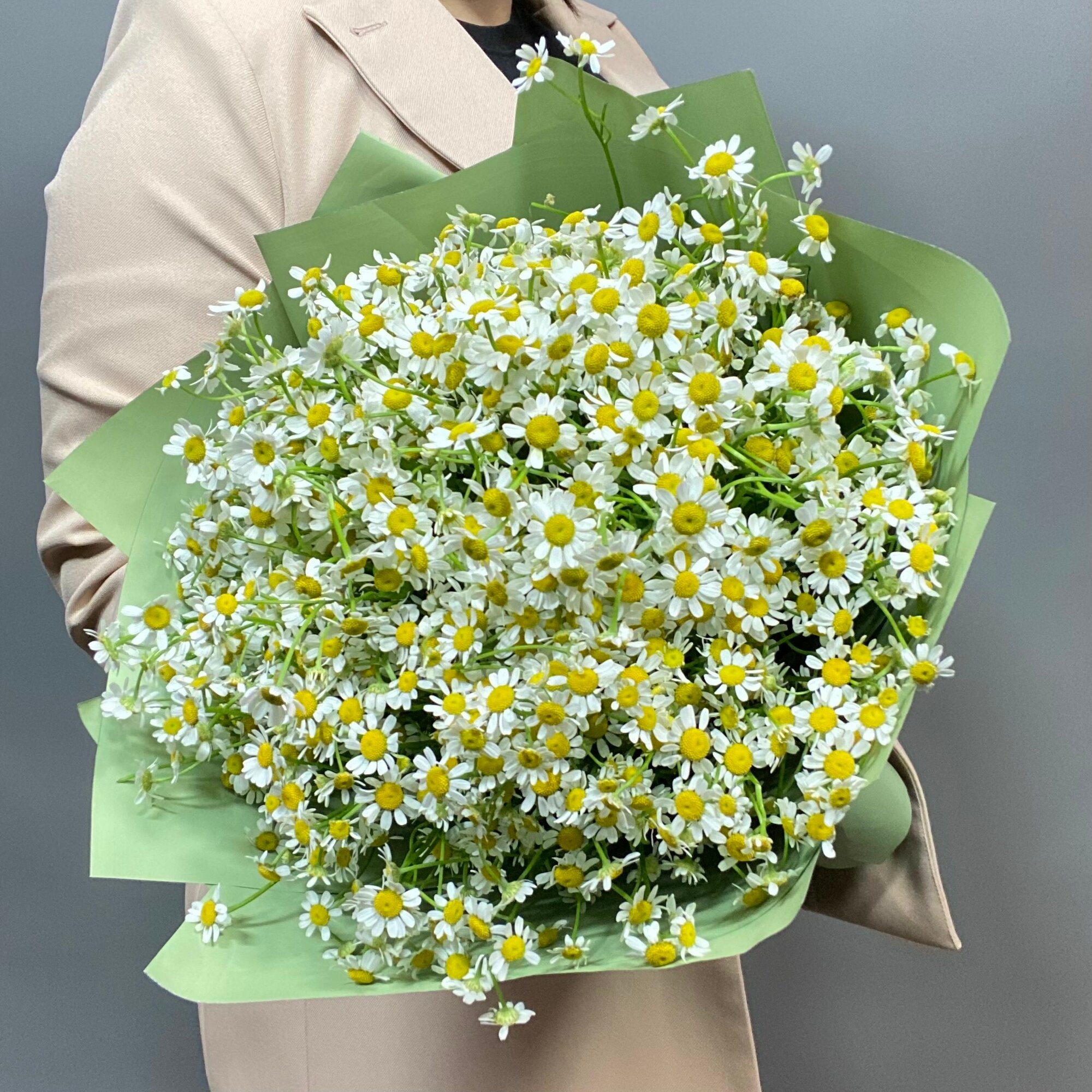 Ромашки (ромашки), высота букета 45 см, ширина букета 25 см, монобукет