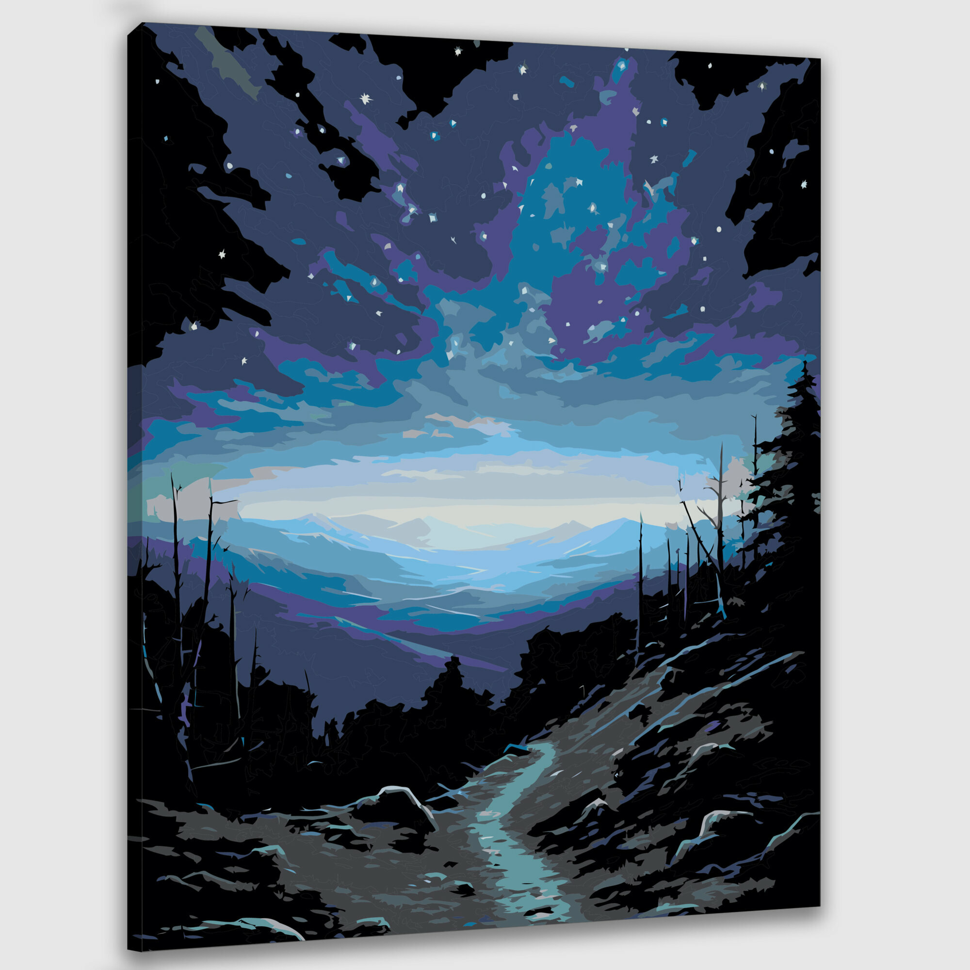 Картина по номерам 40x50 см, картина, масло, ночное небо, белый холст, созвездие, звезды, полная луна, освещение