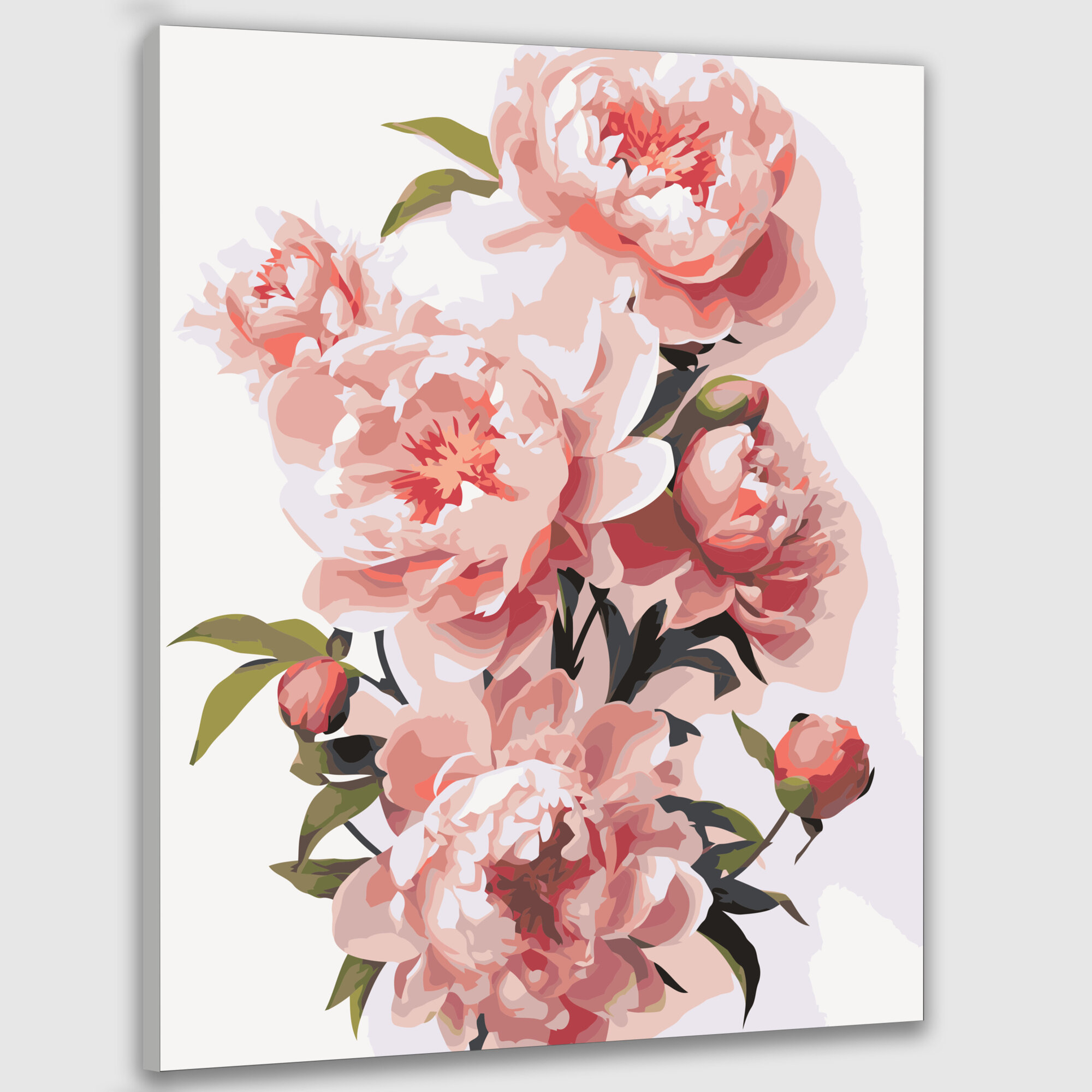 Картина по номерам 40x50 см, пионы, букет, высокое разрешение, минимализм, цветение, белый фон, естественная красота