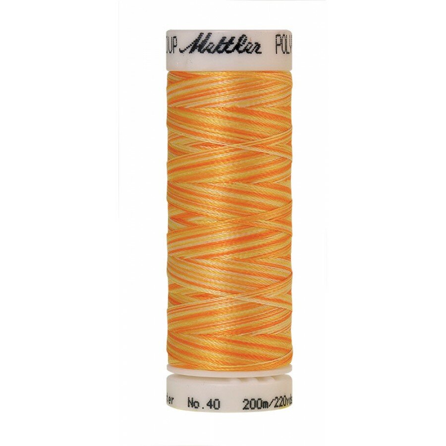 Нить для вышивания мультиколор, POLY SHEEN MULTI METTLER, 200 м 9925 Sunny Rays