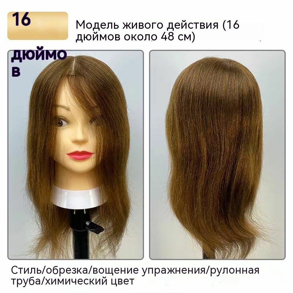 Голова манекен для причесок учебная парикмахерская 100% человеческий волос, 38-45см