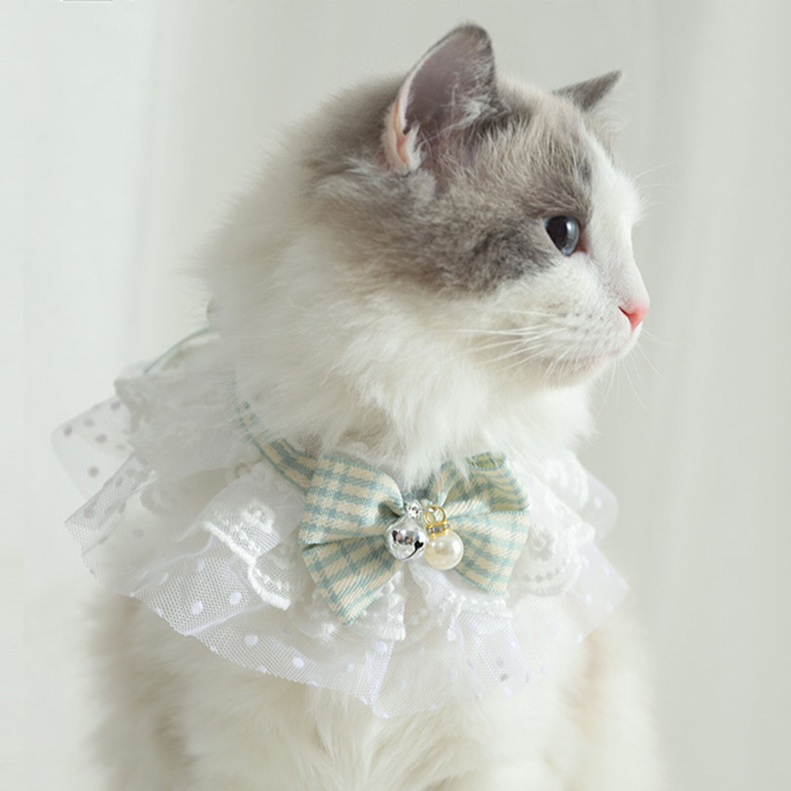 Кружевной шарф с кошачьим нагрудником и бантиком, украшения в виде колокольчика, регулируемые аксессуары для наряда, кружевная бандана для собаки, полотенце слюны, зеленое XS