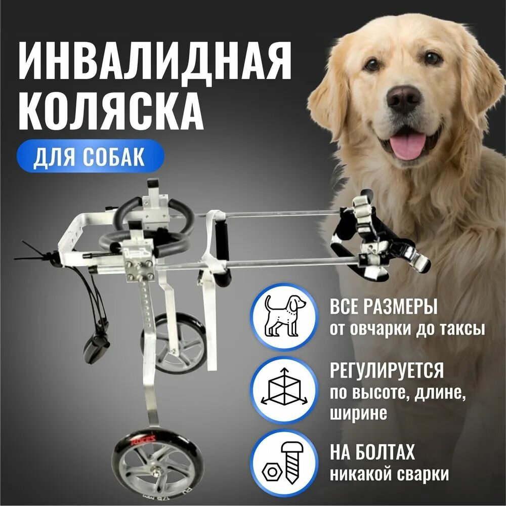 Ходунки для собак