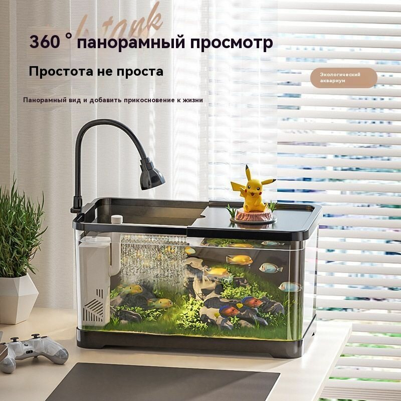 Аквариум — фото 1