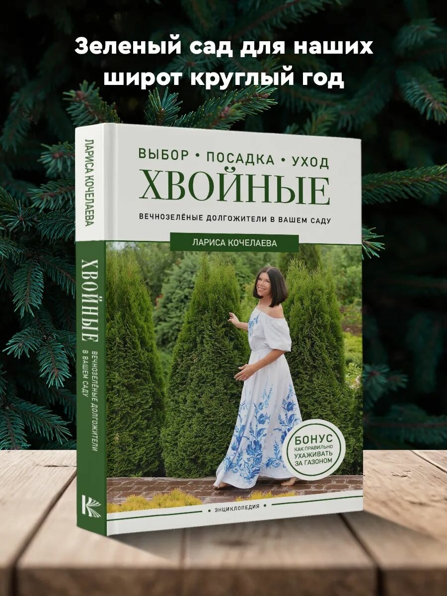 Энциклопедия хвойных растений. Вечнозелёные долгожители