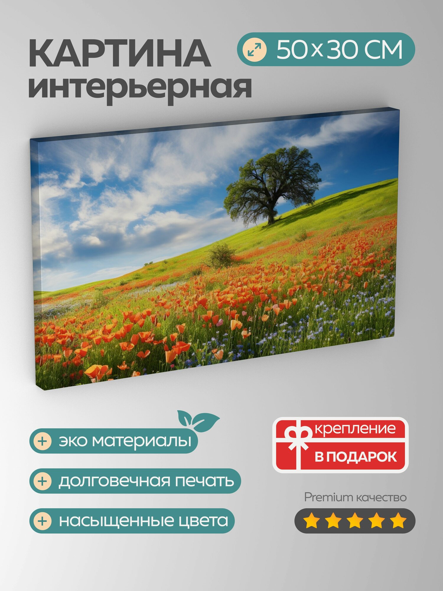 Картина на холсте интерьерная 50х30 см, поле, весна, цветущее, трава, цветы, небо, пробуждение природы, фотография