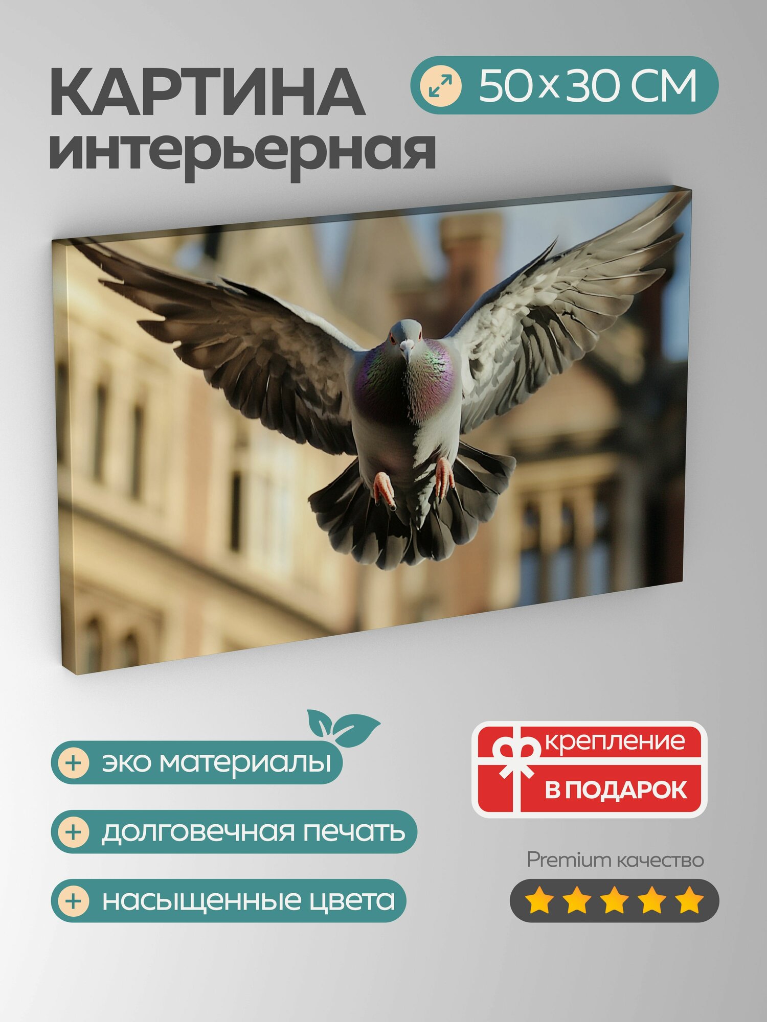 Картина на холсте интерьерная 50х30 см, фотография, голубь в полете, университетский городок, четкость, детализация
