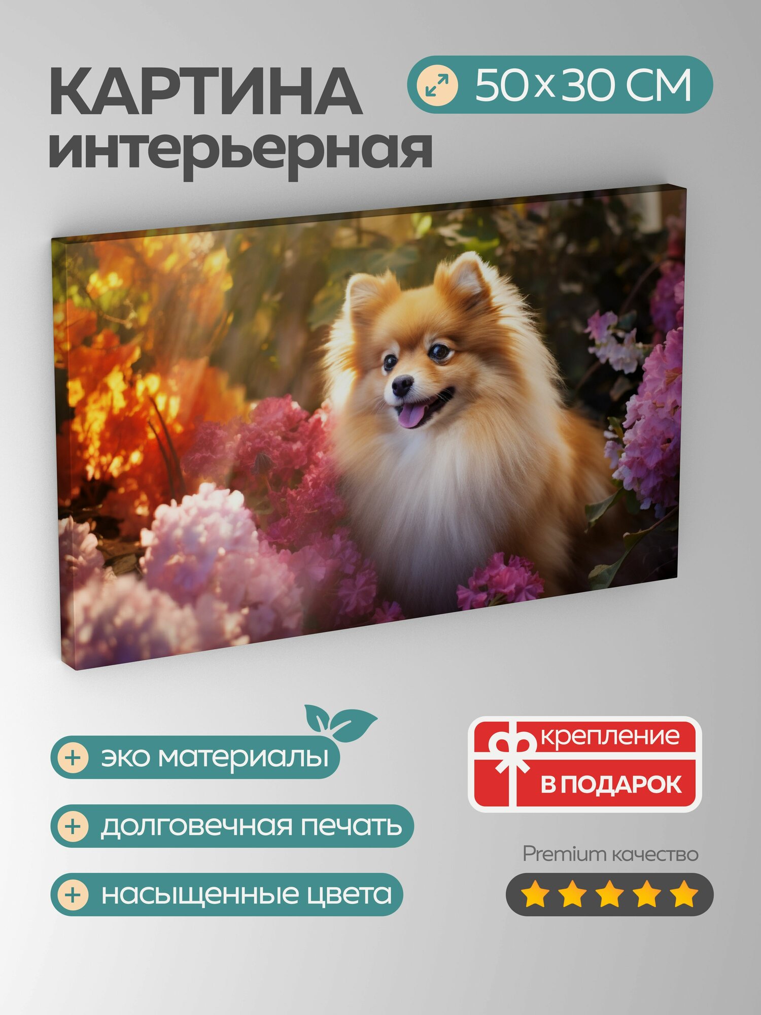 Картина на холсте интерьерная 50х30 см, померанский шпиц, солнечный сад, переливы меха, цветовые текстуры, красота меха