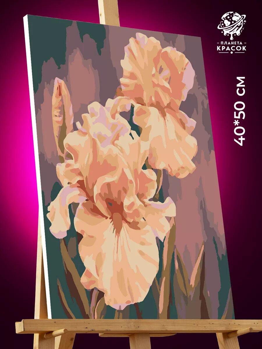 Картина по номерам на холсте 40х50 Розовые ирисы