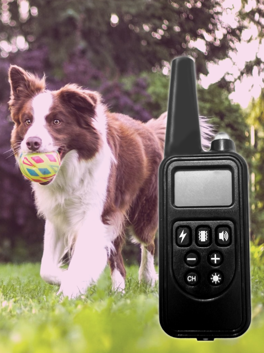 Ошейник для собак "Черный", для дрессировки, электронное управление, водонепроницаемый, 16-68 см